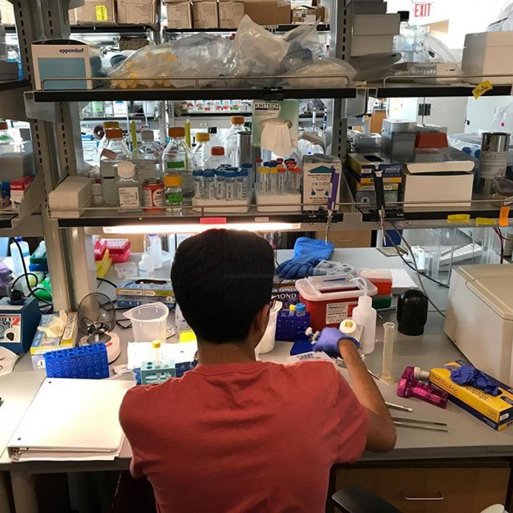 PhD Training Program | Department of Genetics and Development