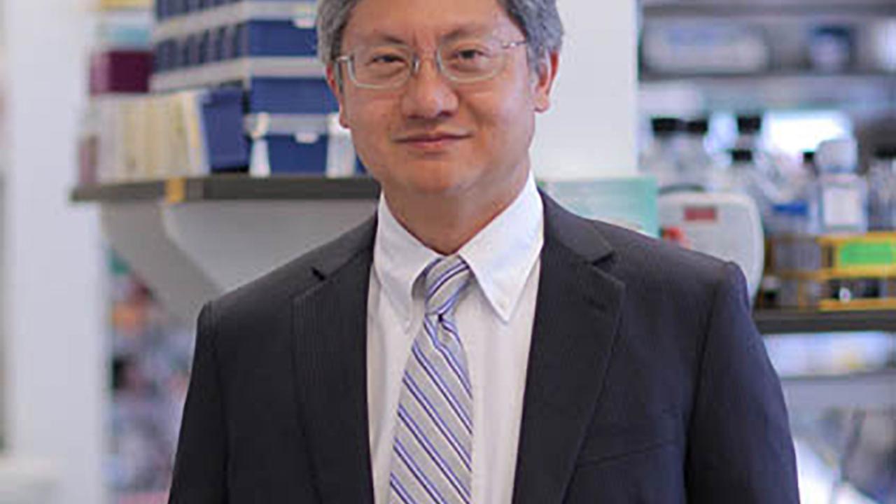 Michael M. Shen, PhD | Department of Genetics and Development