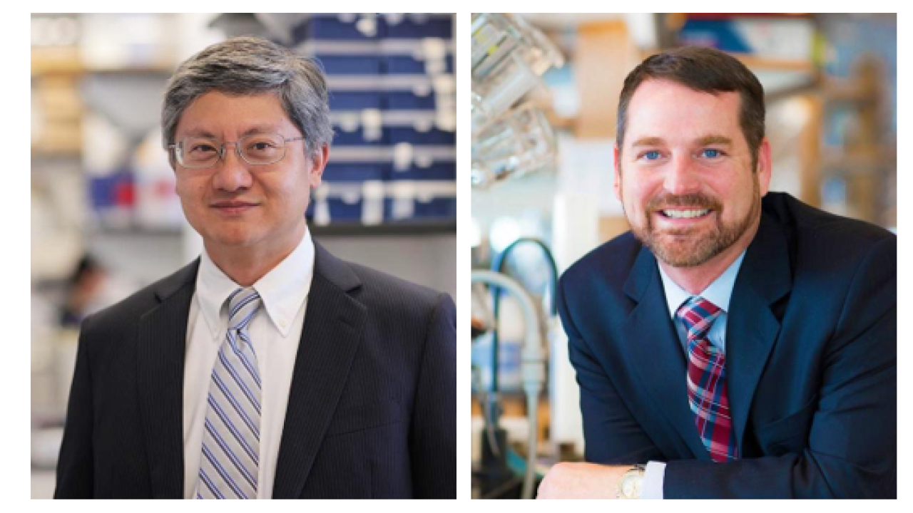 Michael M. Shen, PhD | Department of Genetics and Development