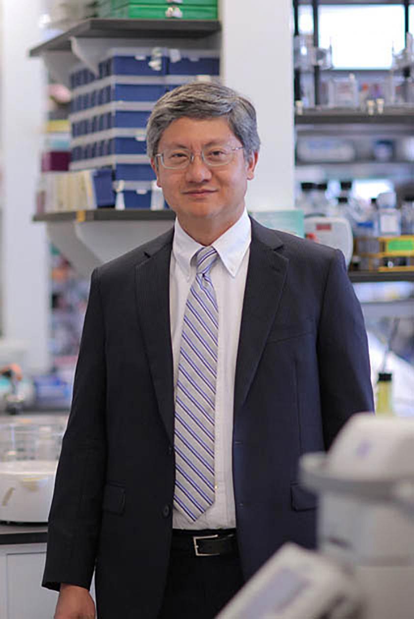 Timeline | Department of Genetics and Development