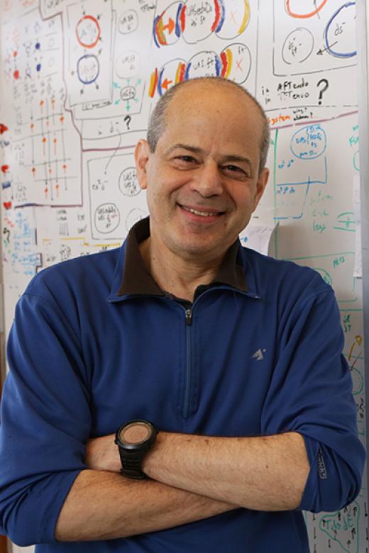 Gary Struhl, PhD | Department of Genetics and Development