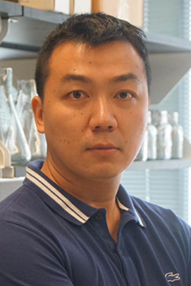 Chao Lu, PhD | Department of Genetics and Development