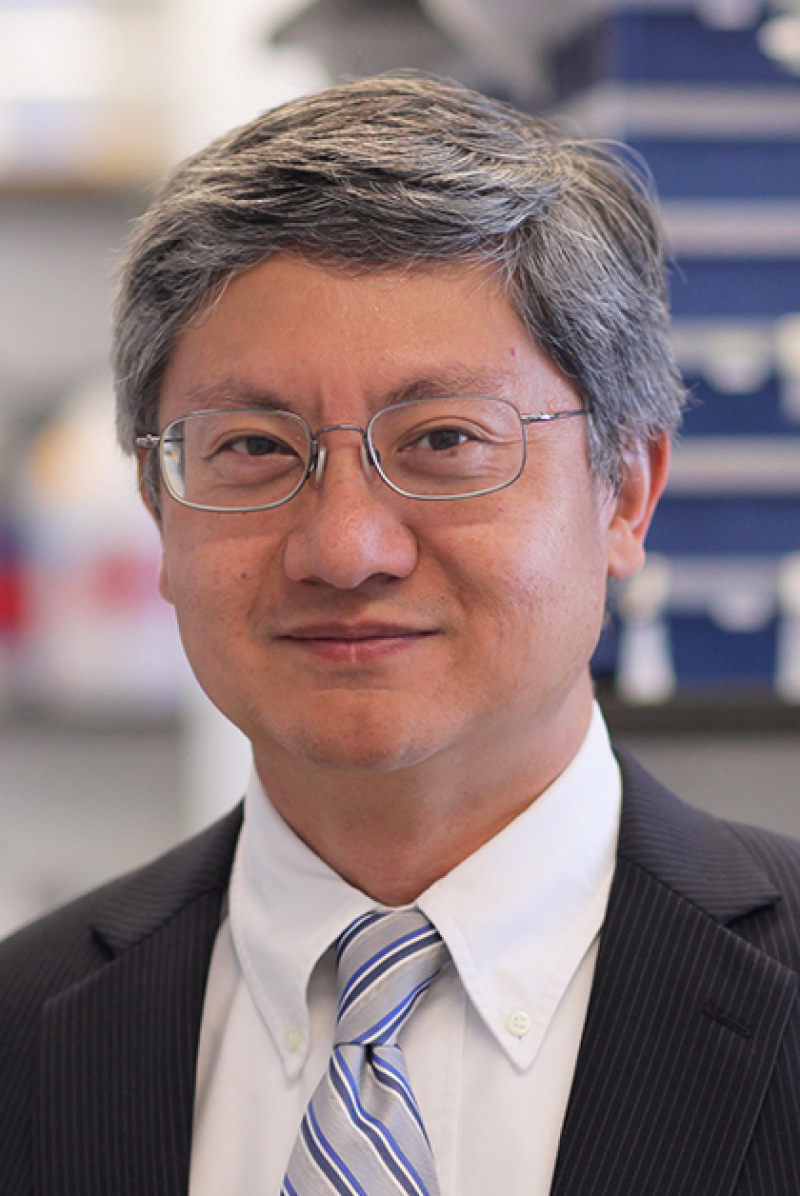 Michael M. Shen, PhD | Department of Genetics and Development
