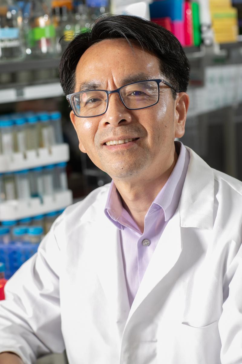 Zhiguo Zhang, PhD | Department of Genetics and Development