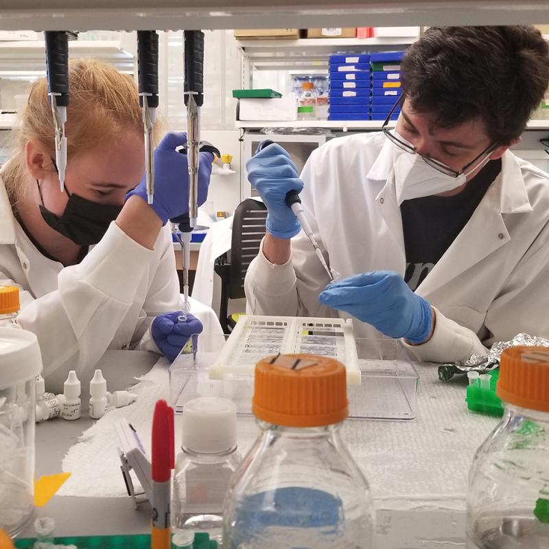 Department of Genetics and Development